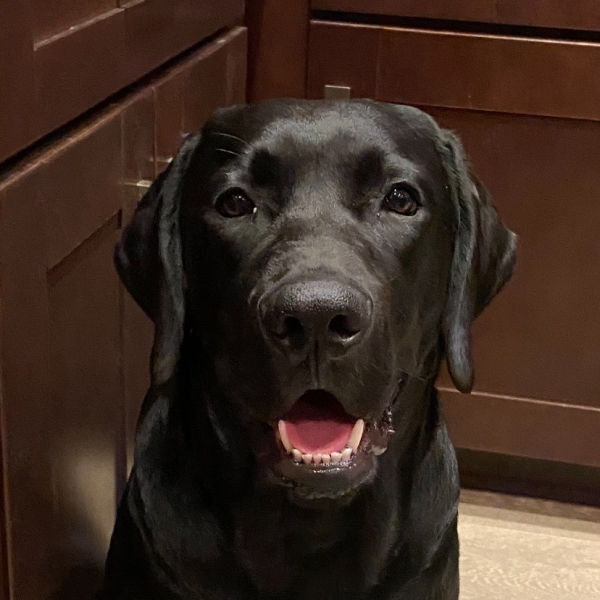 About HonestWaves | Phone Charging Station Manufacturer